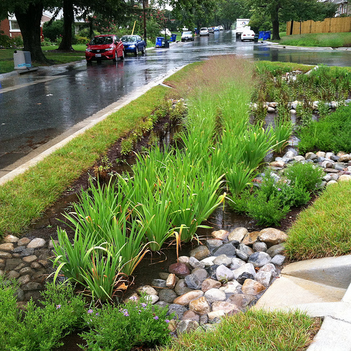 Green Streets — Combining Traffic Calming and Stormwater Management for ...